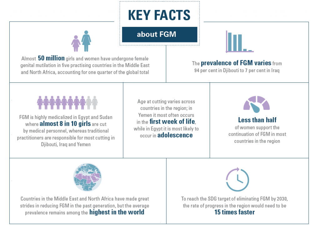 Female Genital Mutilation in the Middle East and North Africa - UNICEF DATA