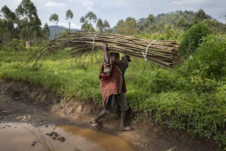 Child Labour: Global estimates 2020, trends and the road forward ...