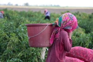 Child Labour: Global estimates 2020, trends and the road forward ...